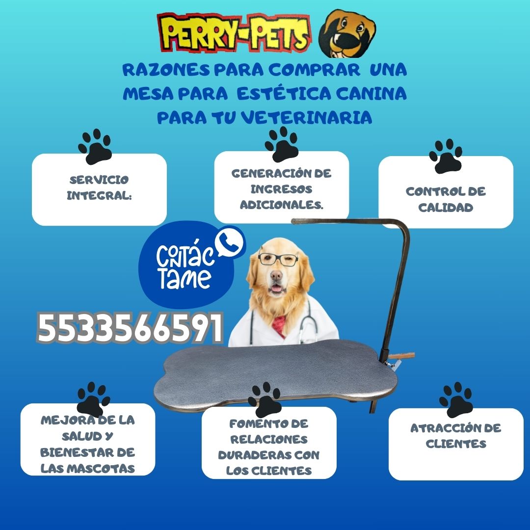 Razones para comprar mesa para estética canina | Perry Pets